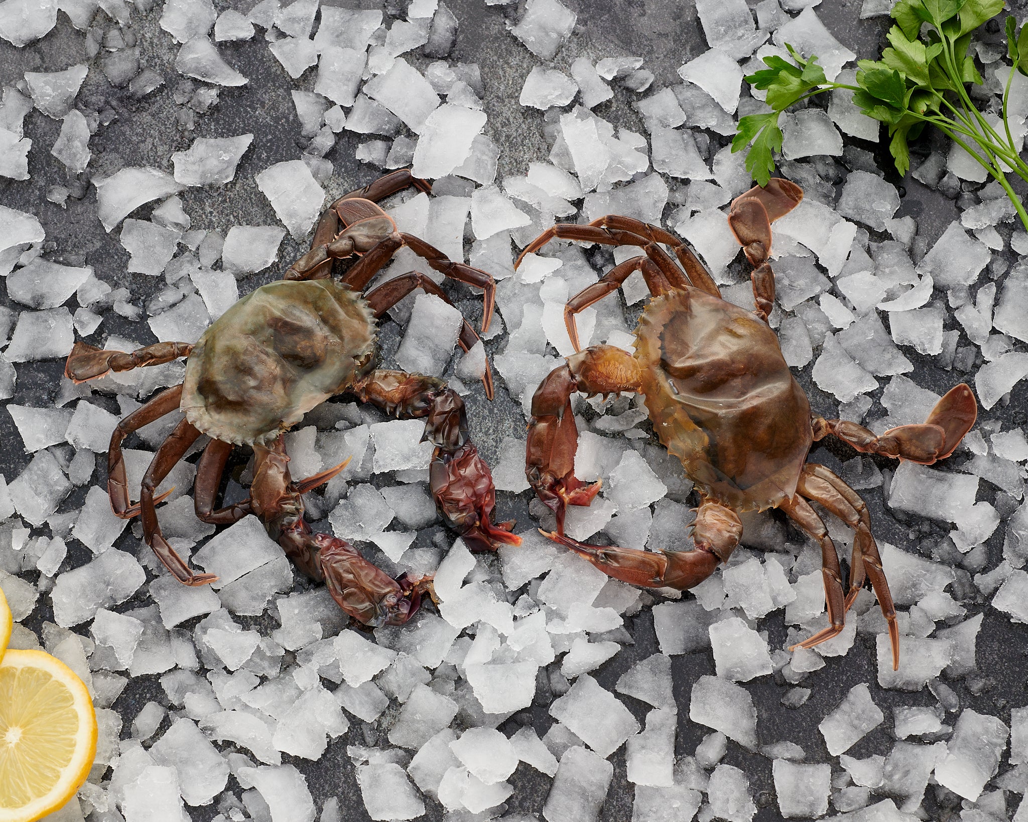 Soft Shell Crabs Jumbo – Reach My Kitchen