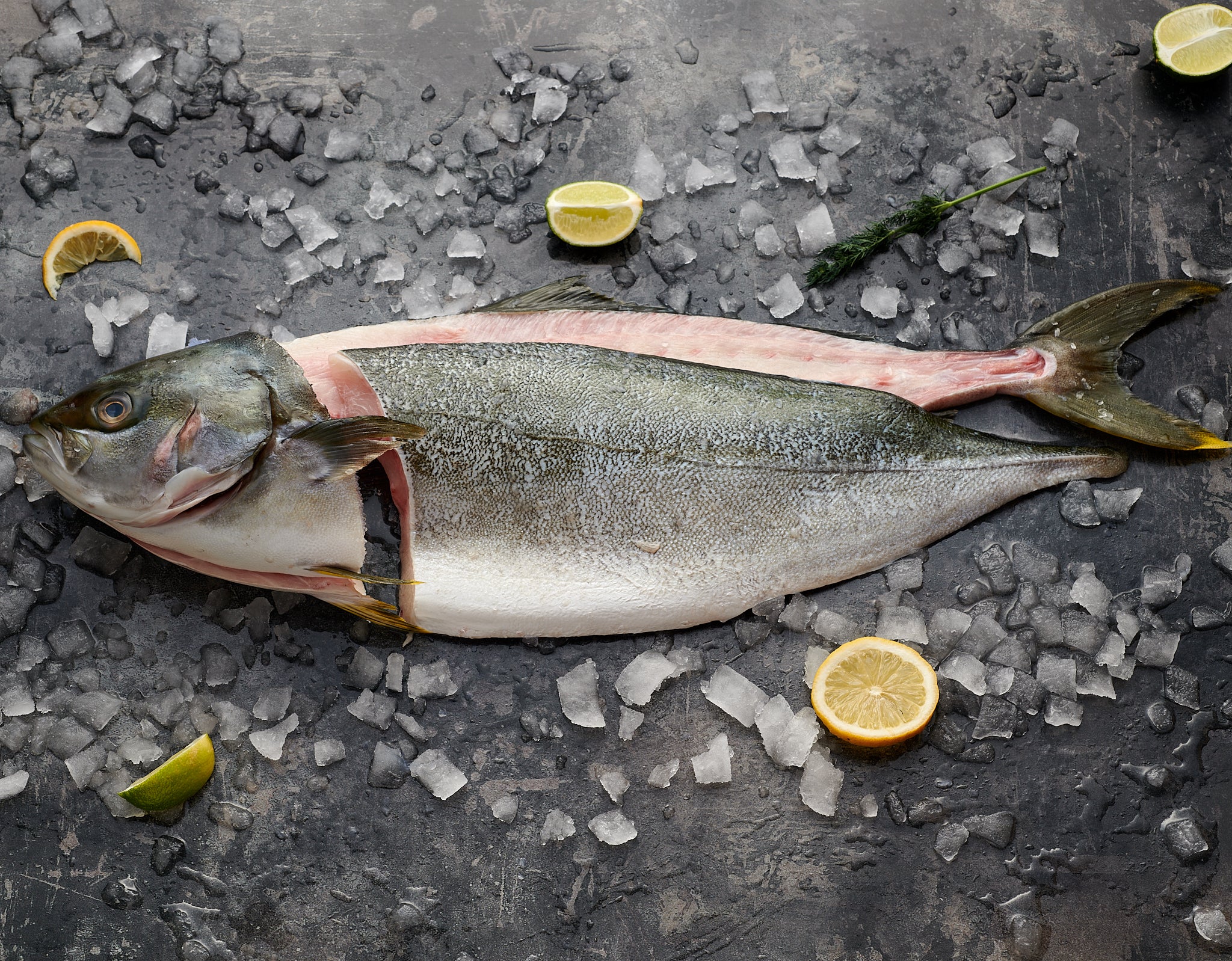 Whole Zeeland Yellowtail Kingfish – Reach My Kitchen
